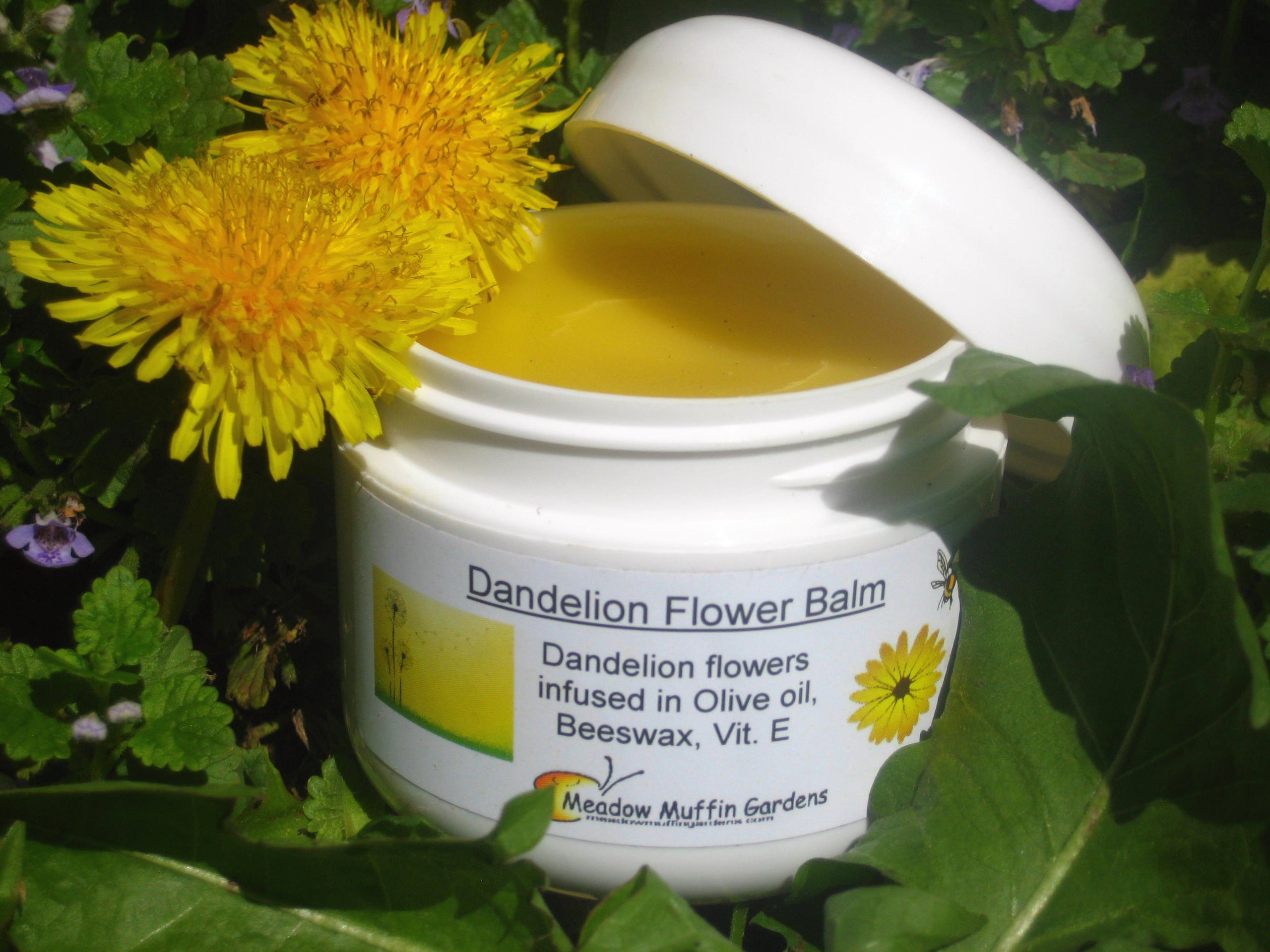 OUT OF STOCK, Dandelion Flower Herbal Salve, Breast Health, Breast ...