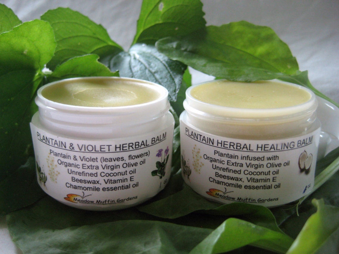 Herbal Healing Balm/Salve, Plantain Chamomile and Violet Coconut Balm ...