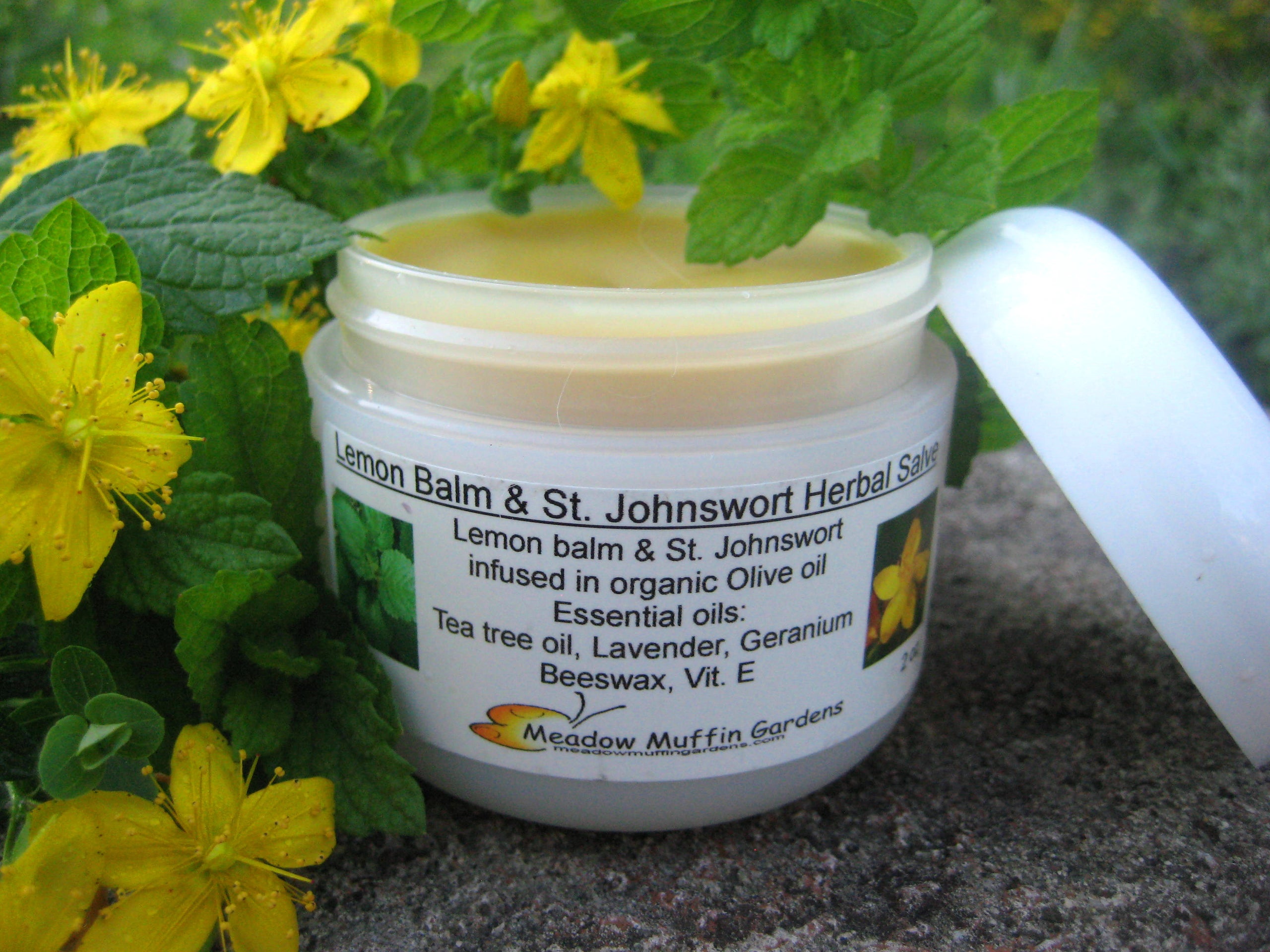 Lemon Balm & St. Johnswort Herbal Salve, Lip, Mouth Care, Herpes Virus ...
